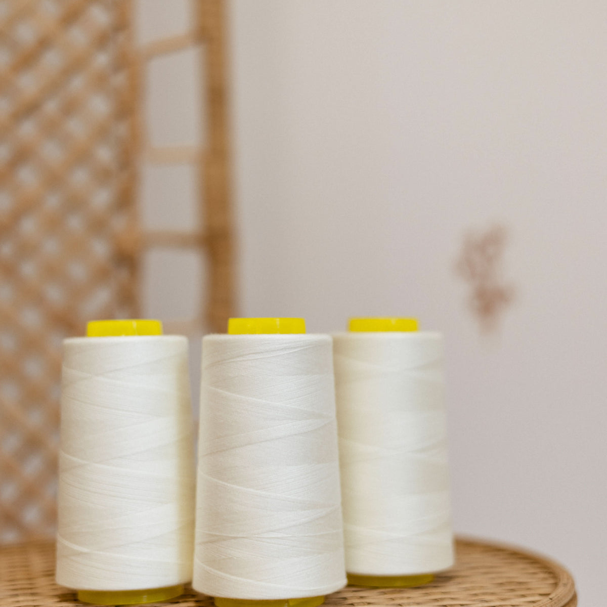 Overlock Sewing thread / ecru – mylittlefabricshop