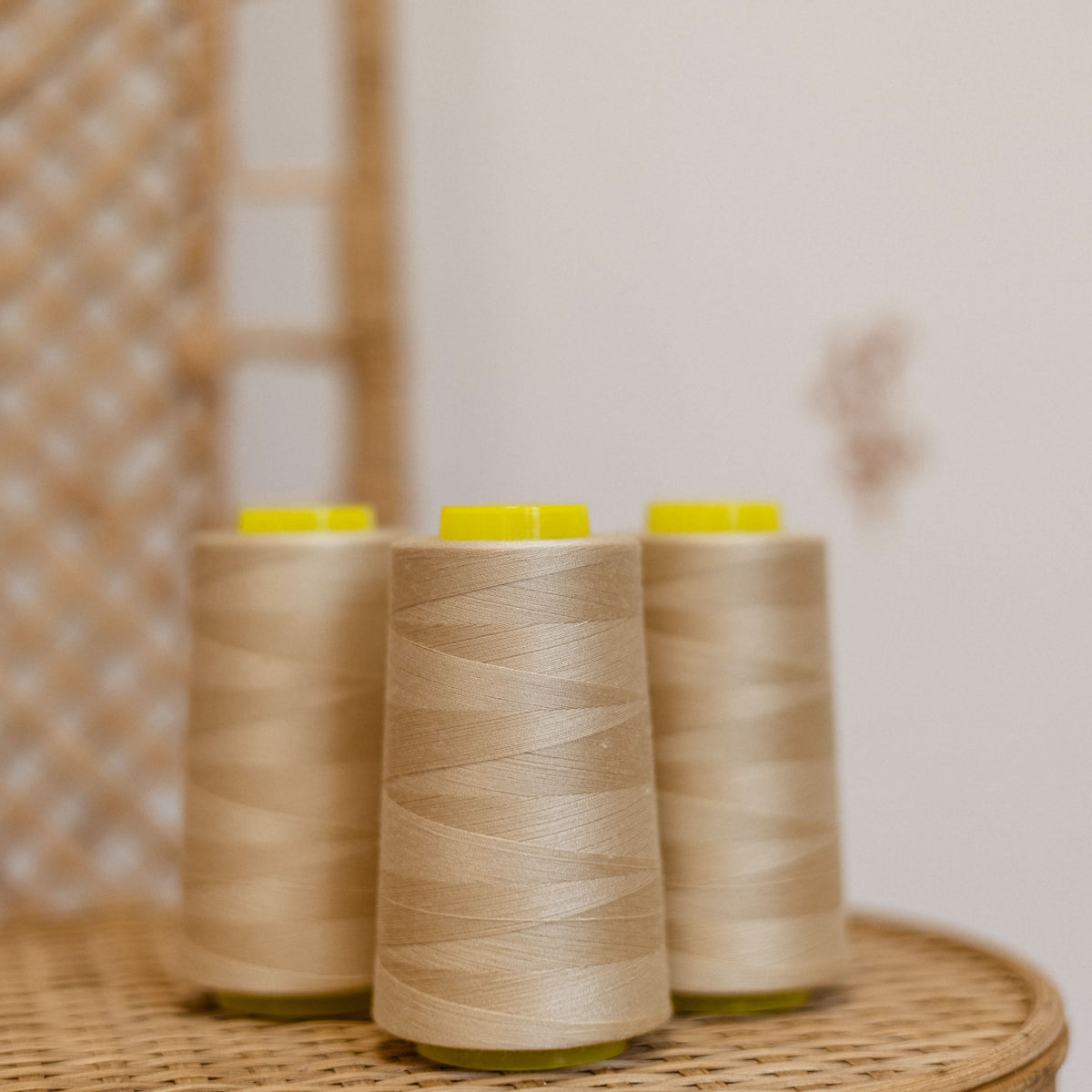 Overlock Sewing thread / light beige – mylittlefabricshop