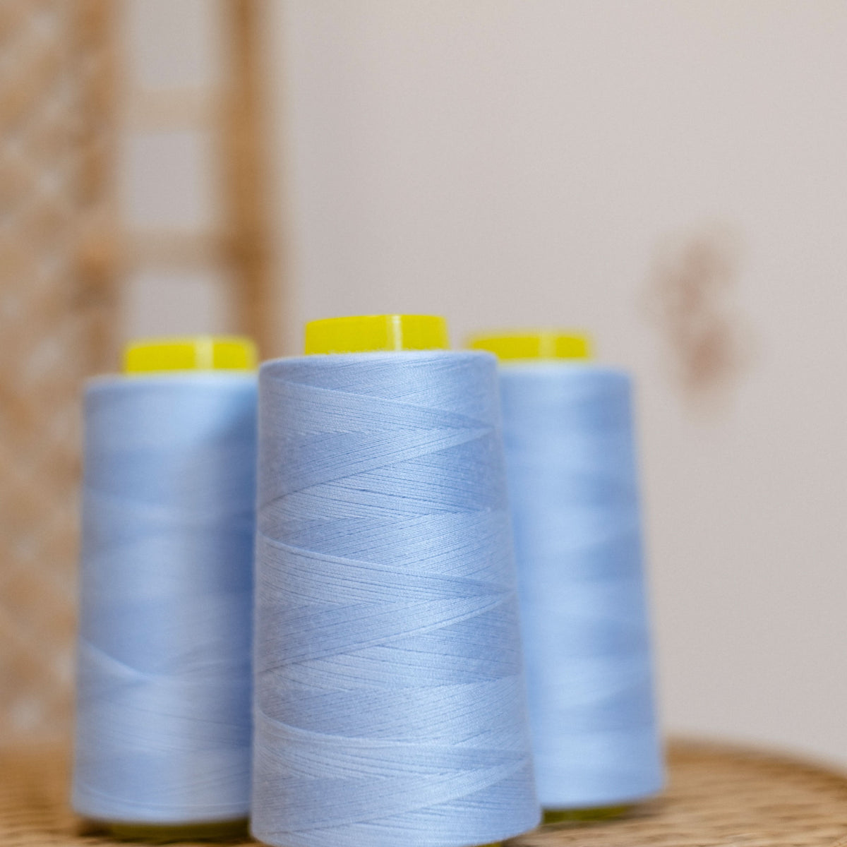 Overlock Sewing thread / Light blue – mylittlefabricshop